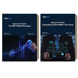 Approyo Releases New Whitepaper Series Focusing on Advantages of SAP HANA®